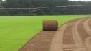 Zoysia & Bermuda Sod Purchase & Delivery Options