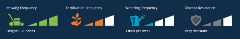 Bermuda Grass Chart | Tifton Turf