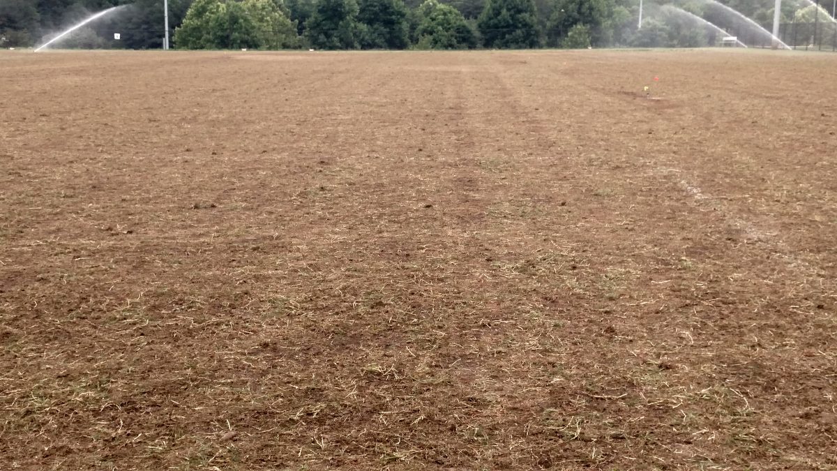 6 Sprig Plant Field Complete | Tifton Turf